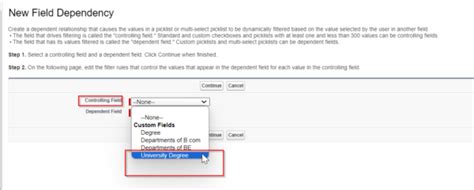 Dependent Picklist In Salesforce Flow Salesforce Geek
