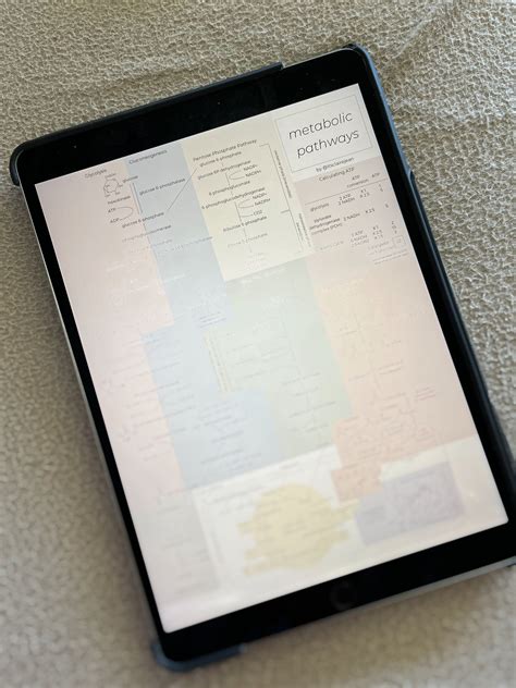 All Metabolic Pathways On The Mcat Diagram Itsclairejean