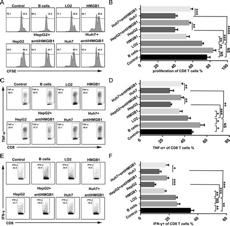Tumor Derived Exosomal Hmgb1 Fosters Hepatocellular Carcinoma Immune Evasion By Promoting Tim 1