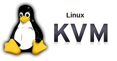 Kvm Vs Openvz A Quick Comparison Of Two Popular Vps Types Virmach® The Best And Cheapest