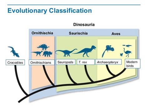 Evolutionary Classification