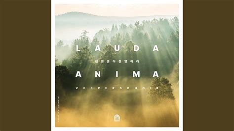 어두운 후에 빛이 오며 Light After Darkness Youtube