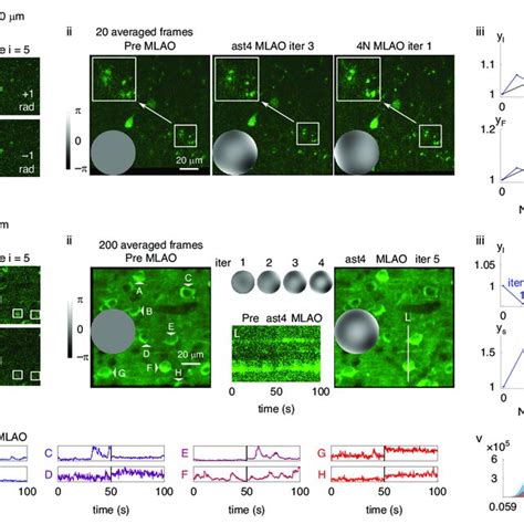 Aberration Correction In Three Photon Microscopy Of Live Mouse Brains Download Scientific