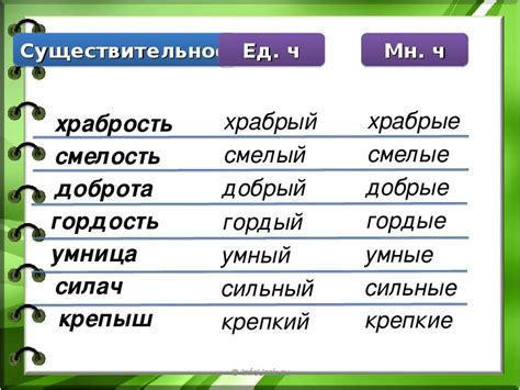 Презентация по русскому языку на тему Имя прилагательное 3 класс русский язык Область
