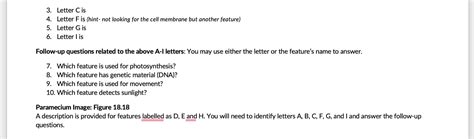 Solved Activity 3 Components In A Protist Labeling All