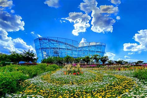 100만 송이 꽃길 부모님과 꼭 걸어보세요 매년 봄 꽃바다 되는 힐링 공원 여행한조각