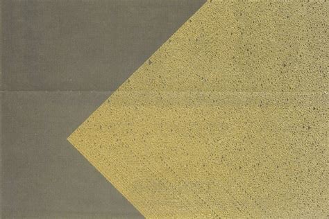 15 A Fractal Developed By Stephen Wolfram [mal00] Sometimes Compared Download Scientific