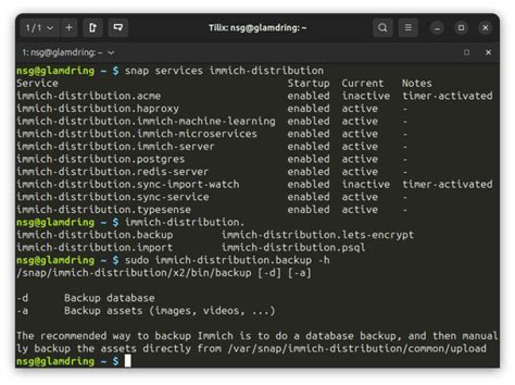 Install Immich Distribution On Ubuntu Using The Snap Store Snapcraft