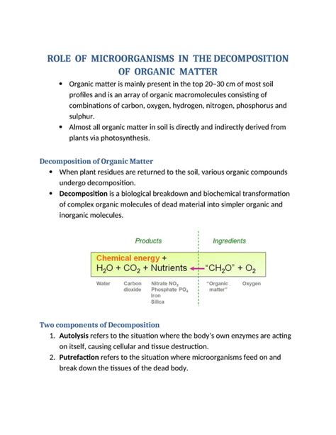 Role Of Microorganisms In The Decomposition Of Organic Matter Docx