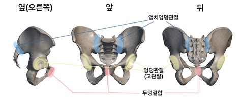 9 턴아웃과 뼈
