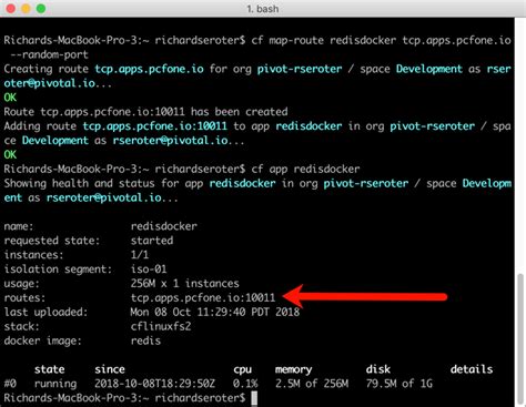 Wait THAT Runs On Pivotal Cloud Foundry Part TCP Routable Services Richard Seroter S