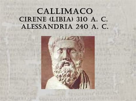 Callimaco Odp