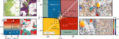 Figure 1 From Dynamical Structures In Phase Separating Nonreciprocal