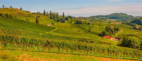 오스트리아와 슬로베니아 국경에 위치한 매력적인 지역인 사우스 스티리안 와인 로드를 따라 있는 포도원은 녹색 언덕 포도밭 그림 같은 마을 와인 선술집을 갖추고 있습 스티리아에