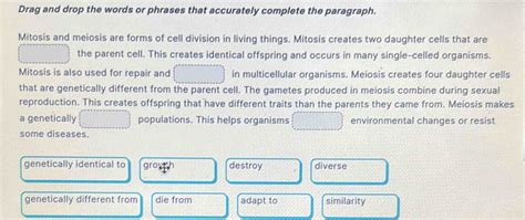 Solved Drag And Drop The Words Or Phrases That Accurately Complete The Paragraph Mitosis And