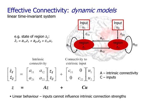 Ppt Understanding Effective Connectivity In Neural Systems Powerpoint