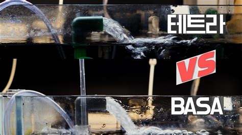 [리얼리뷰]지구최강 특이점을 가진 스펀지여과기 바사 스펀지여과기 Youtube