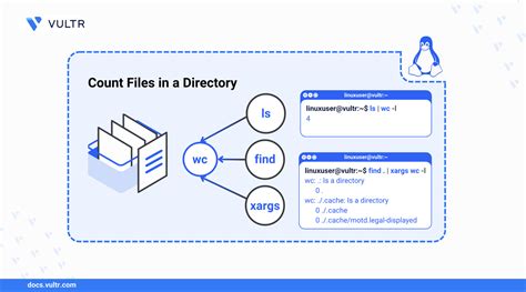 How To Count Files In A Directory In Linux Using The Wc Command Vultr Docs