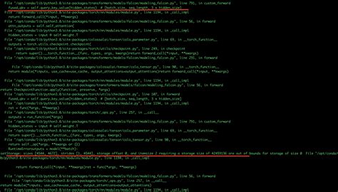 Bug Faclon Model Training Encountered Pytorch Storage Error When Use