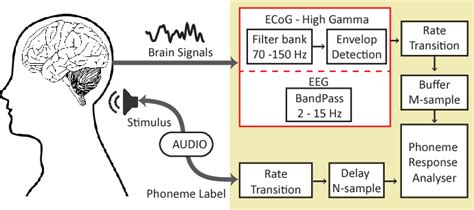 Figure From Naplib An Open Source Toolbox For Real Time And Offline