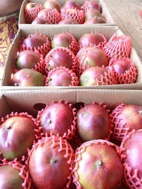 Mariama Aidara On Linkedin Our Team Actively Working In Mali Has