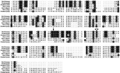 Multiple Sequence Alignment Of The C Terminus Of I100 And Related Download Scientific Diagram