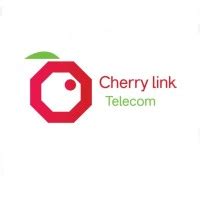 Cherry Link Telecom Linkedin