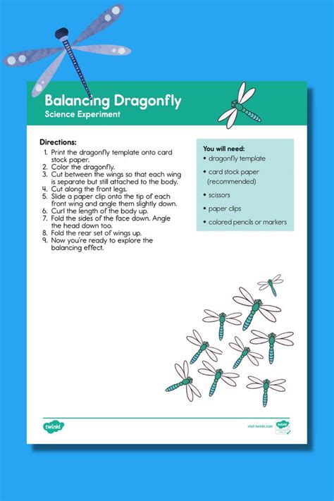 Balancing Dragonfly Experiment Science Activities Elementary Teaching Resources Interactive