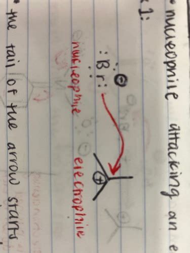 Ochem Exam 2 Flashcards Quizlet