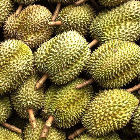 Jackfruit Vs Durian Whats The Difference With Photos Live Eat