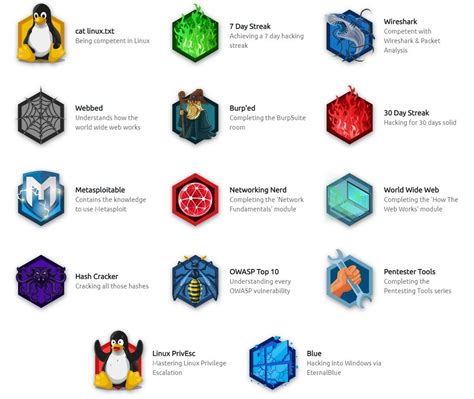 Alex ⚔ P On Linkedin Tryhackme Cybersecurity Pentesting Pentester Learning Infosec Linux…