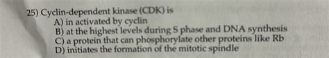 Solved Cyclin Dependent Kinase Cdk ﻿isa ﻿in Activated By
