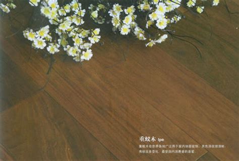 安信实木复合地板 重蚁木 安信地板 九正建材网