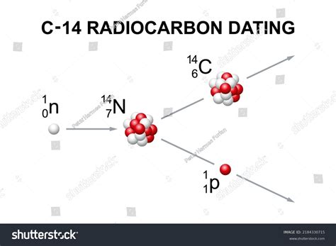 Carbon 14 Decay Over 2 Royalty Free Licensable Stock Vectors And Vector