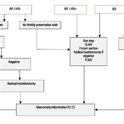 Proposed Algorithm For The Nodal Management Of Early Stage Cervical Download Scientific Diagram