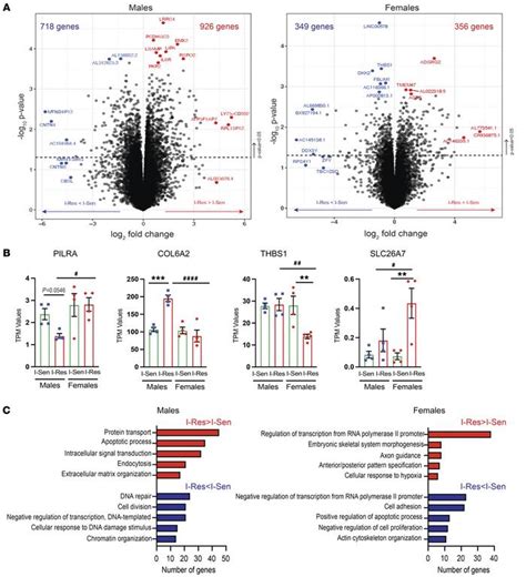 Jci Interactions Among Insulin Resistance Epigenetics And Donor Sex