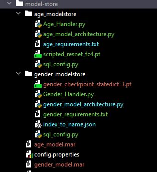 Error Serving Two Models Simultaneously Issue 2046 Pytorch Serve