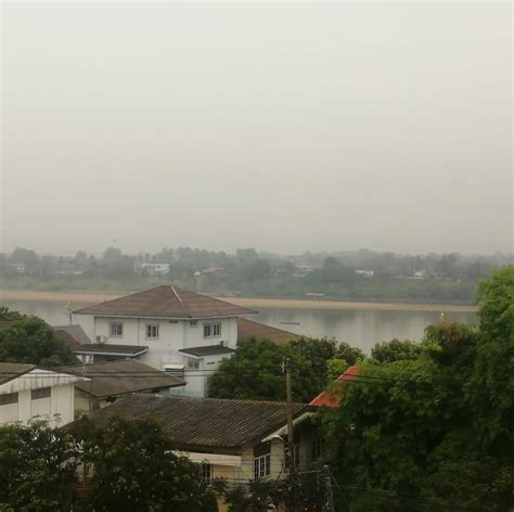 รับหิ้วขนมเปี๊ยะบ้านแม่มดbynooploy Posts Facebook