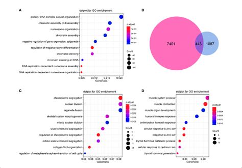 Functional Analysis Of Cnv Differential Genes A Go Enrichment Download Scientific Diagram