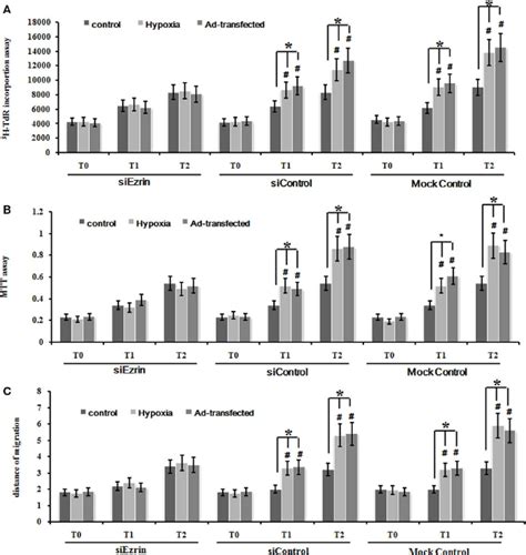 Silencing Ezrin Protein Expression Inhibited The Proliferation And