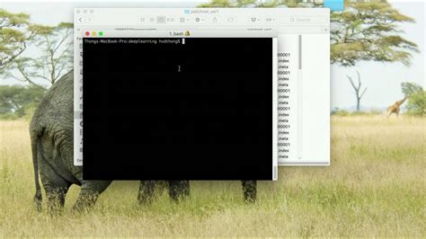 Patchnet A Tool For Deep Patch Classification Youtube
