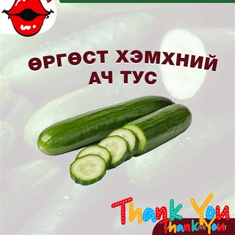 ӨРГӨСТ ХЭМХНИЙ АЧ ТУС А В С Ногоон Өндөрийн Хишиг