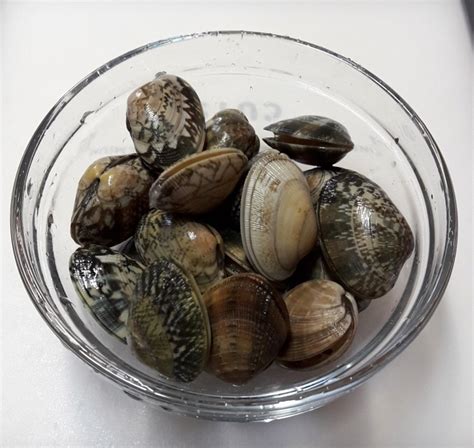 감자 비프스튜 한식 스튜 만들기