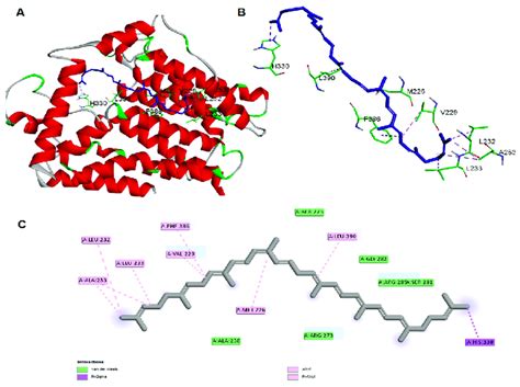 Docking Of Lycopene In K Pneumoniae Lipid A Core O Antigen Ligase