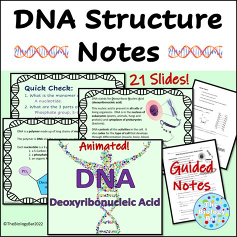 DNA Structure Notes Animated Power Point With Babe Guided Notes Made By Teachers