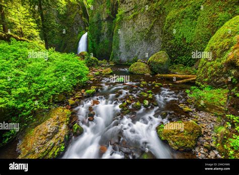 Wahclella Falls Columbia River Gorge National Scenic Area Oregon Usa