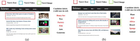 a an example of multi view partial multi label scenario b an download scientific diagram
