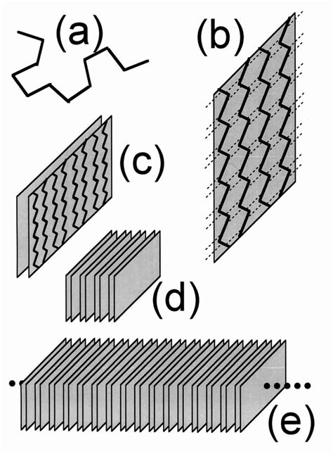 Self Assembling Structures In Solutions Of Dn1 Peptide Molecules