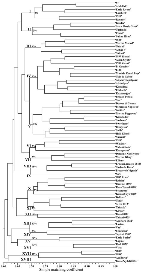 upgma dendrogram of 49 local and 29 introduced sweet cherry genotypes