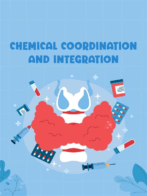 Std11 Ch19 Pdf Hormone Endocrine System